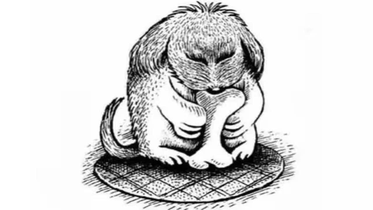 Cadê o animal? Ache o mais rápido possível neste desafio visual